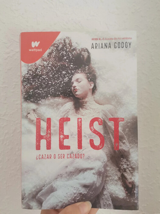 Libro Heist :: Fionishop